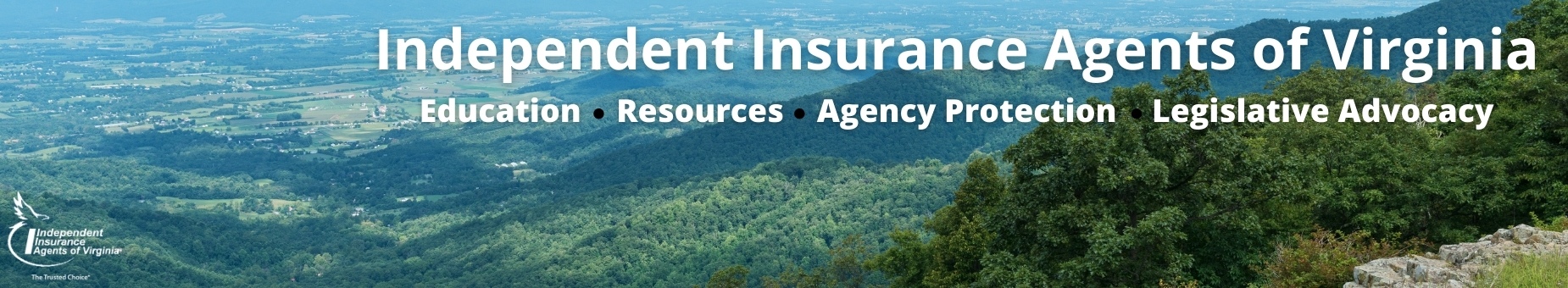 Home - Association for Independent Agents | IIAV